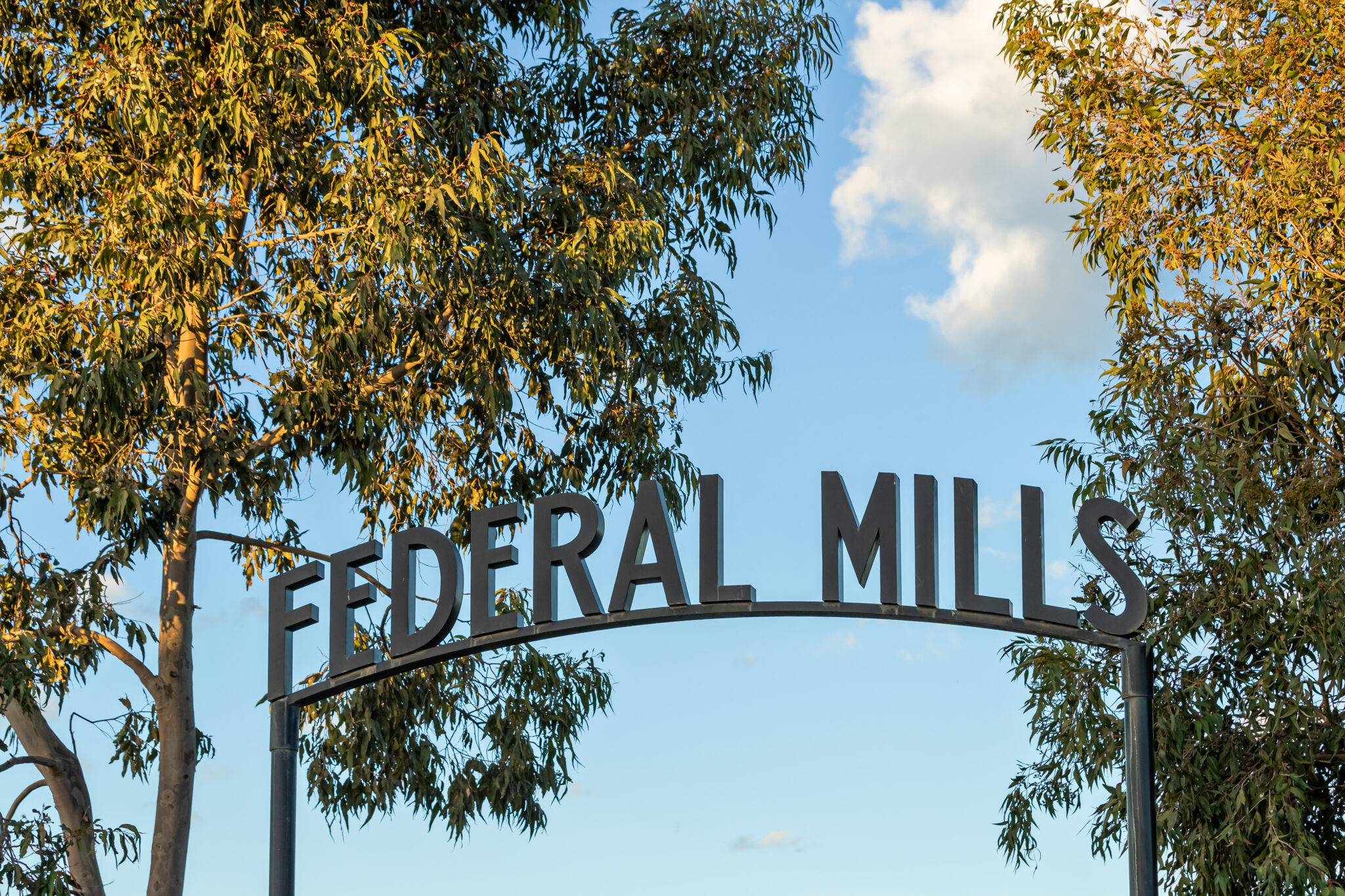 Federal Mills @ Pivot City | Hamilton Group